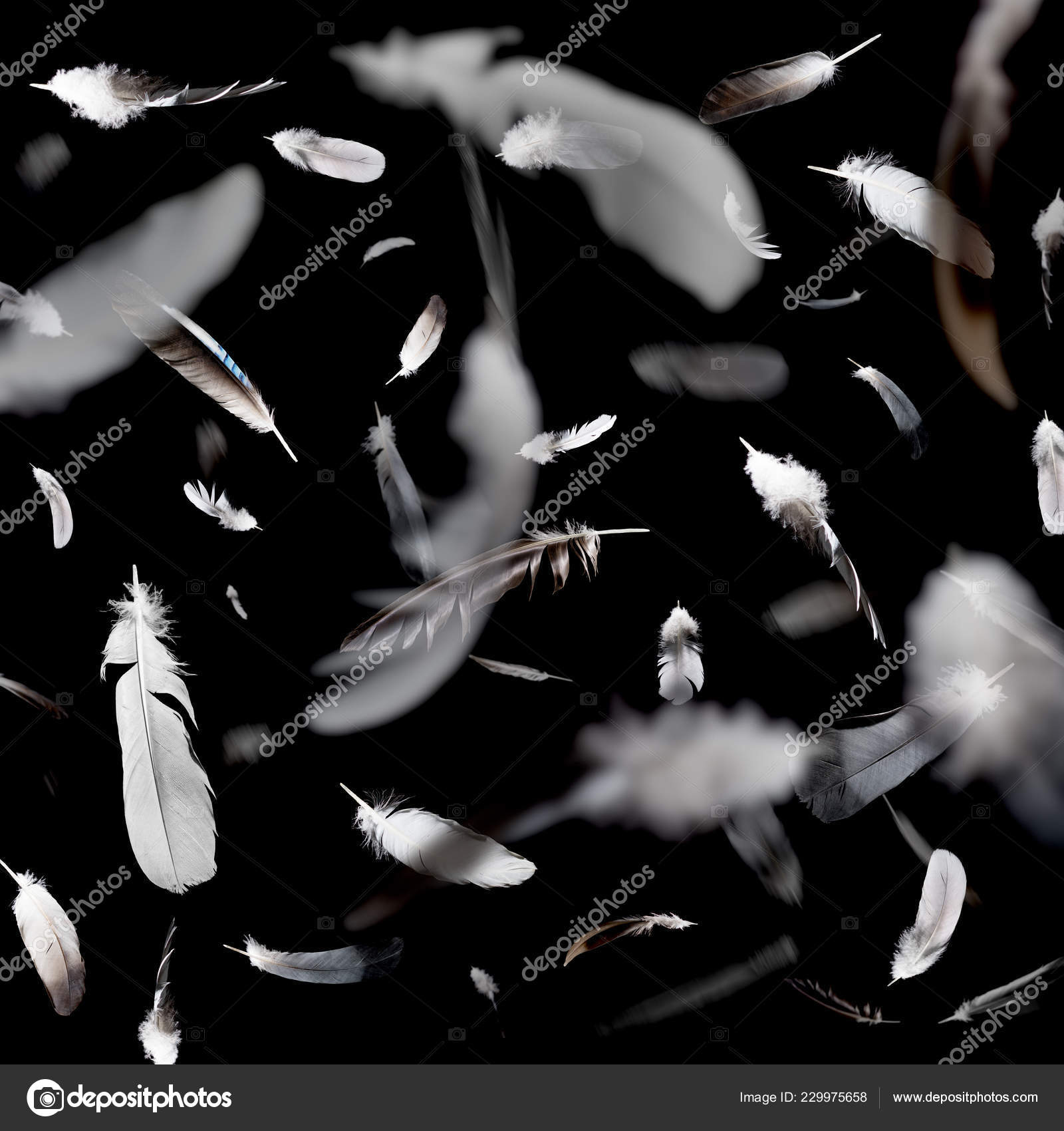 Falling Feathers Background