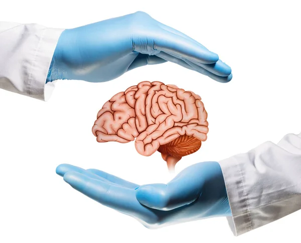 Human brain surgery Stock Photos, Royalty Free Human brain surgery ...