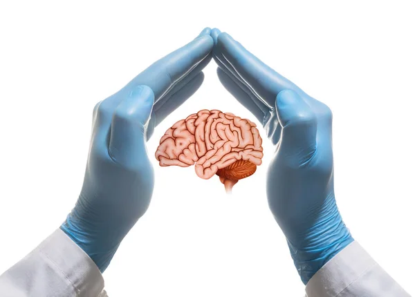 Human brain surgery Stock Photos, Royalty Free Human brain surgery ...