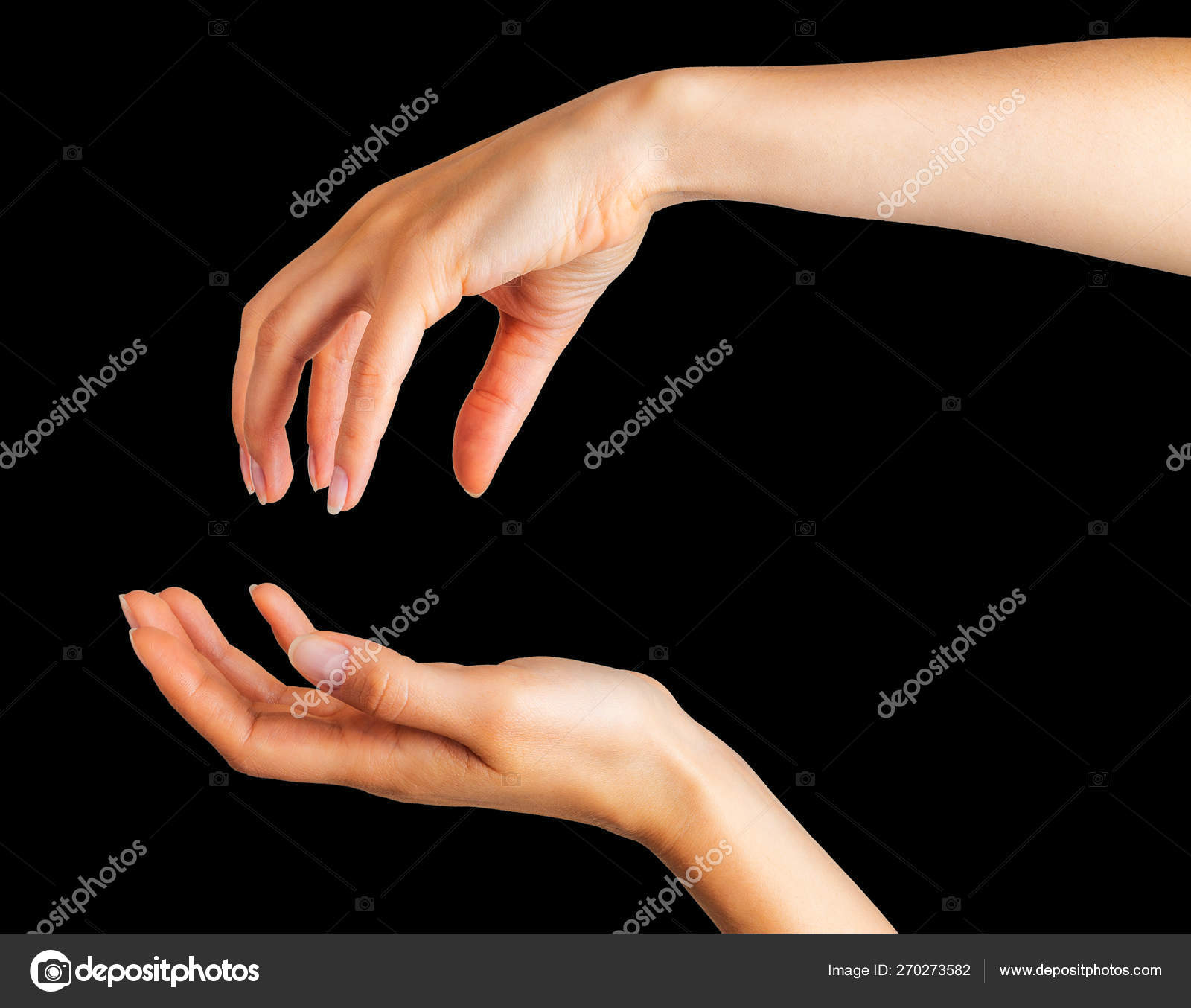 Set of women hands taking or showing something Stock Photo by ...