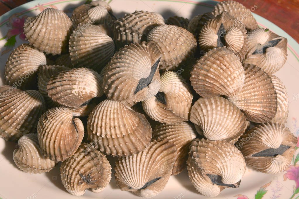 Hervir Cockle, Hervir Cockle Sangre, Cockle Shell a la parrilla, Cockle ...