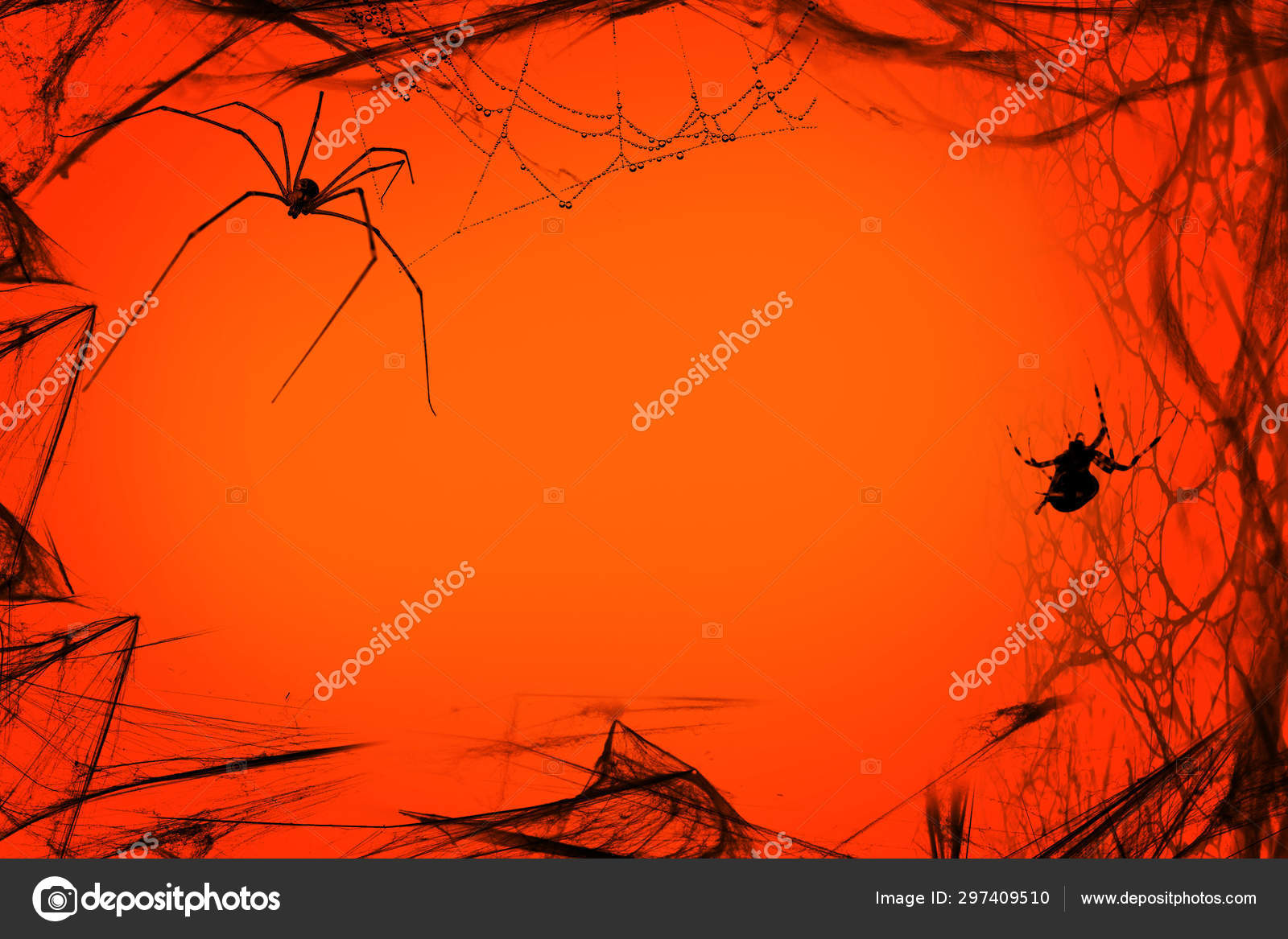 Spiderwebs Isolated Orange Grunge Background Cobweb Corner Halloween ...