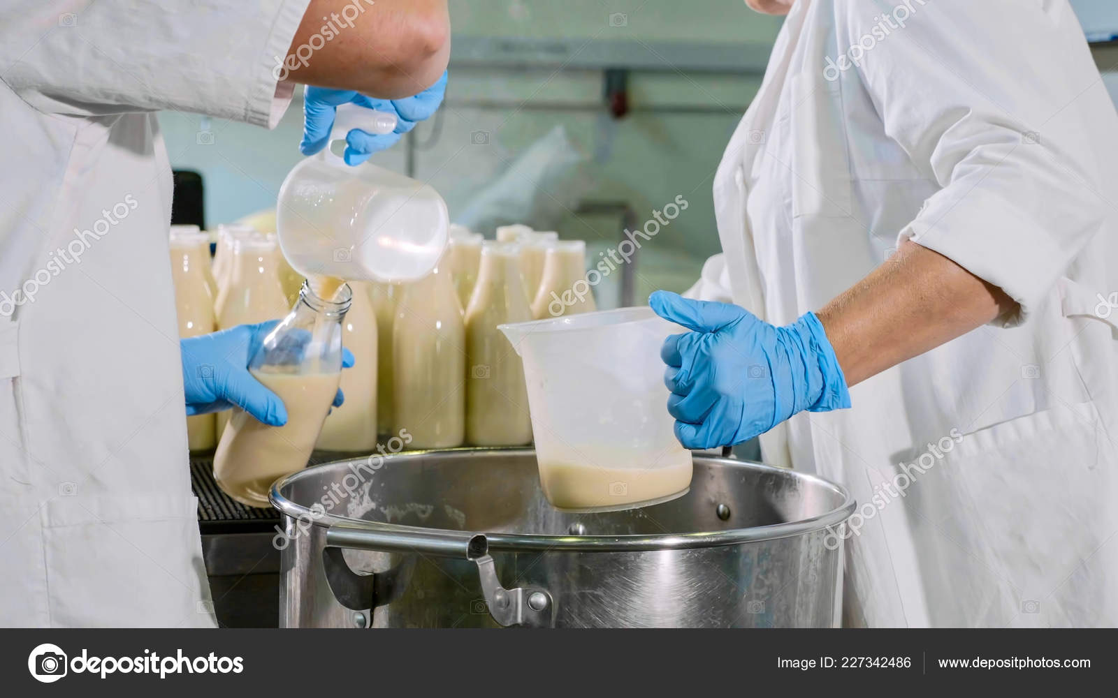 Workers filling a milk in bottles by hands at milk factory — Stock ...