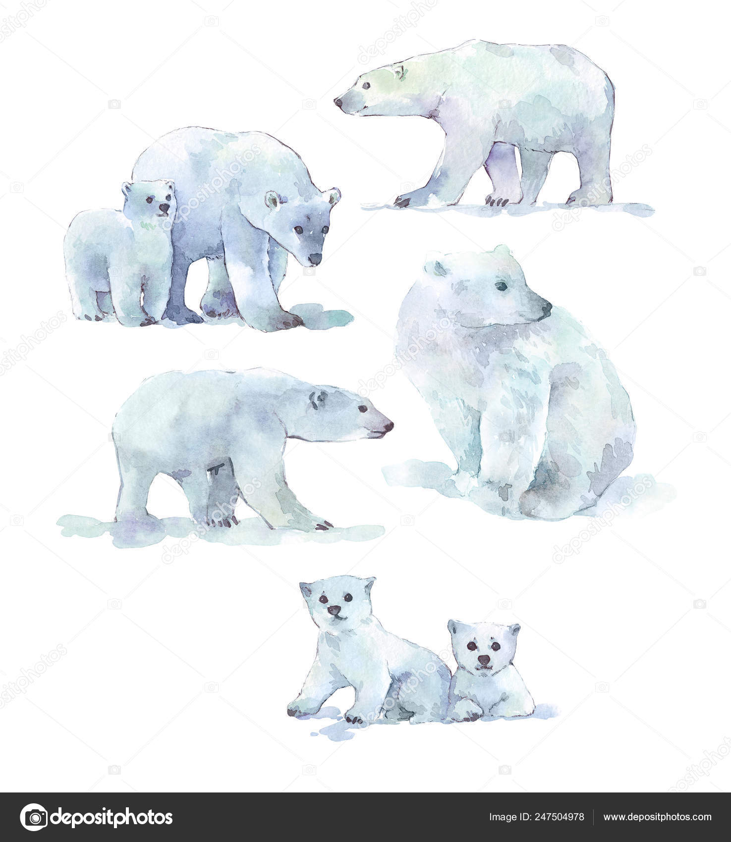 Polar Bear Watercolor