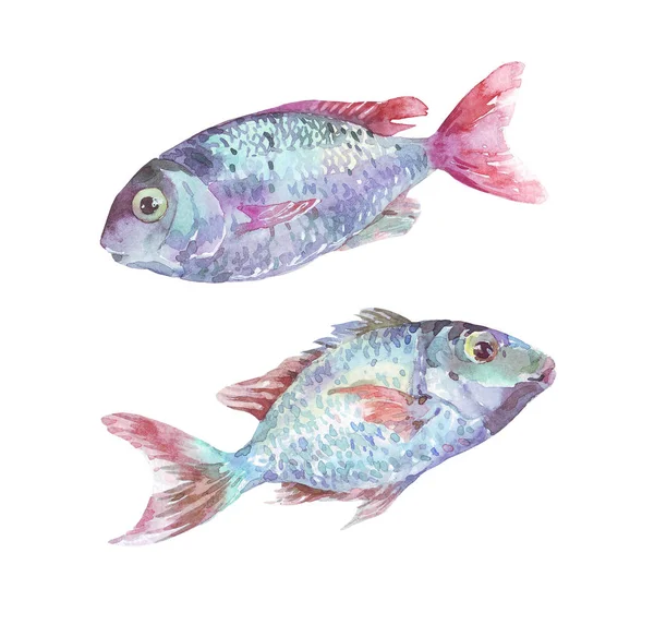 Fish watercolor Stock Photos, Royalty Free Fish watercolor Images ...