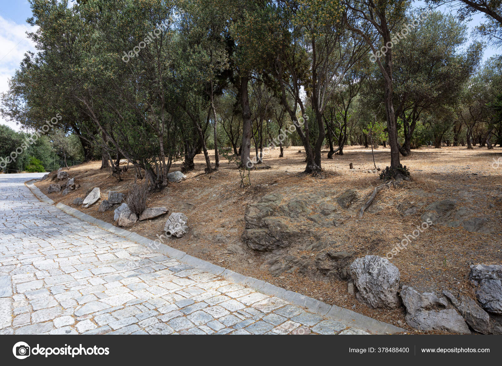 Athens Greece Cobblestone Pathway Acropolis Marble Paved Street Greek ...