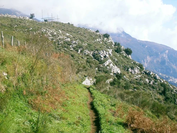 Path View Mount Faito Sorrento Coast — Stock Photo © PandaVivo #224974340