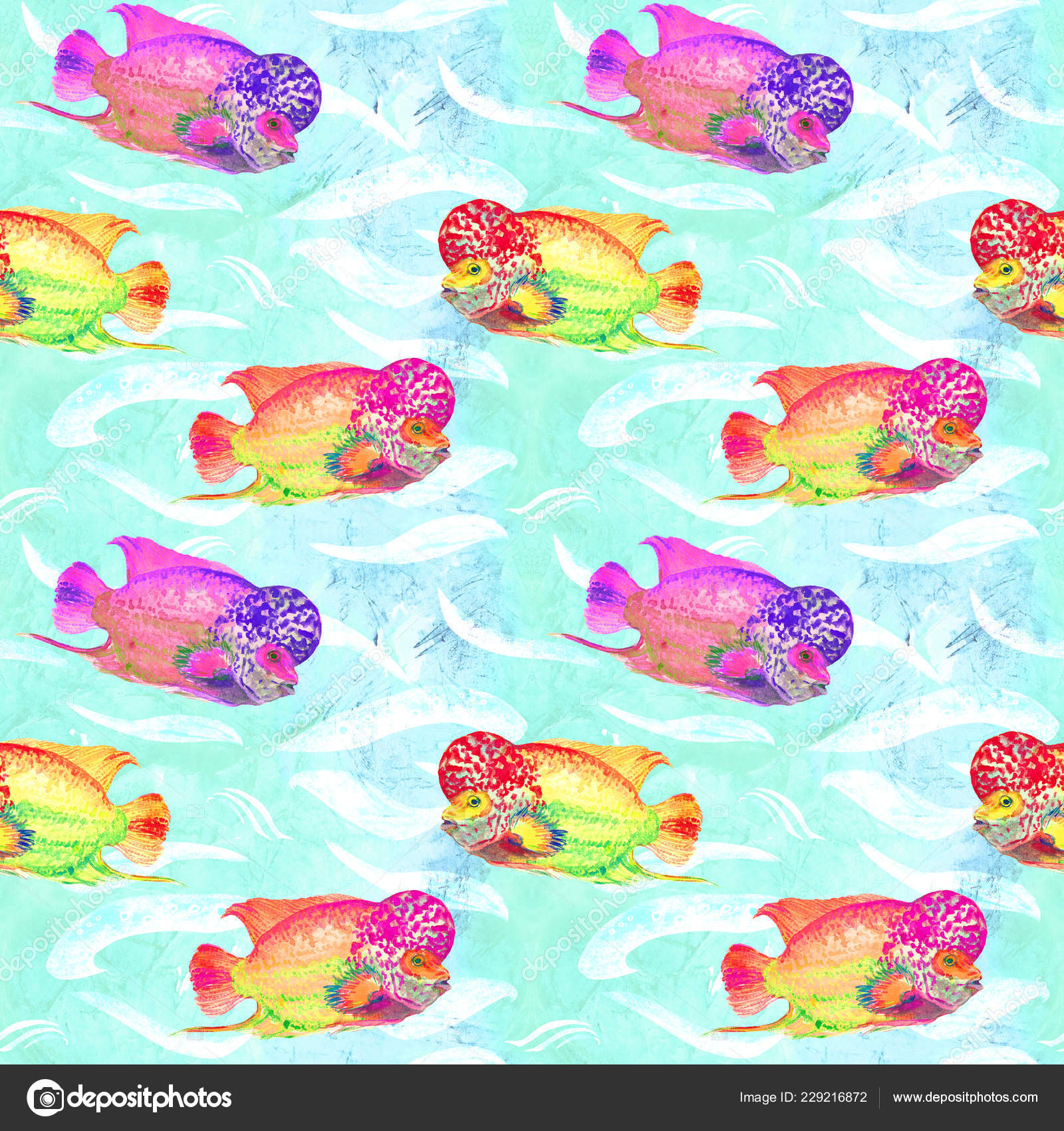 Flowerhorn Cichlid Fish Elvis Strain Hand Painted Watercolor ...