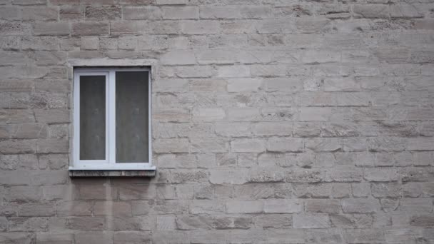 Old brick wall with brick filled window — Stock Video © Andrew282 ...