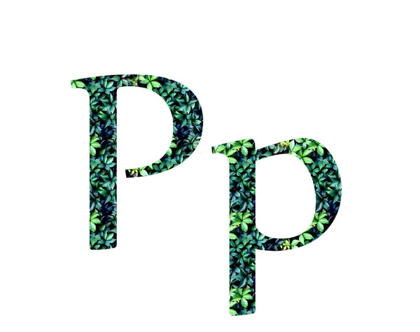 Letras pp imágenes de stock de arte vectorial | Depositphotos