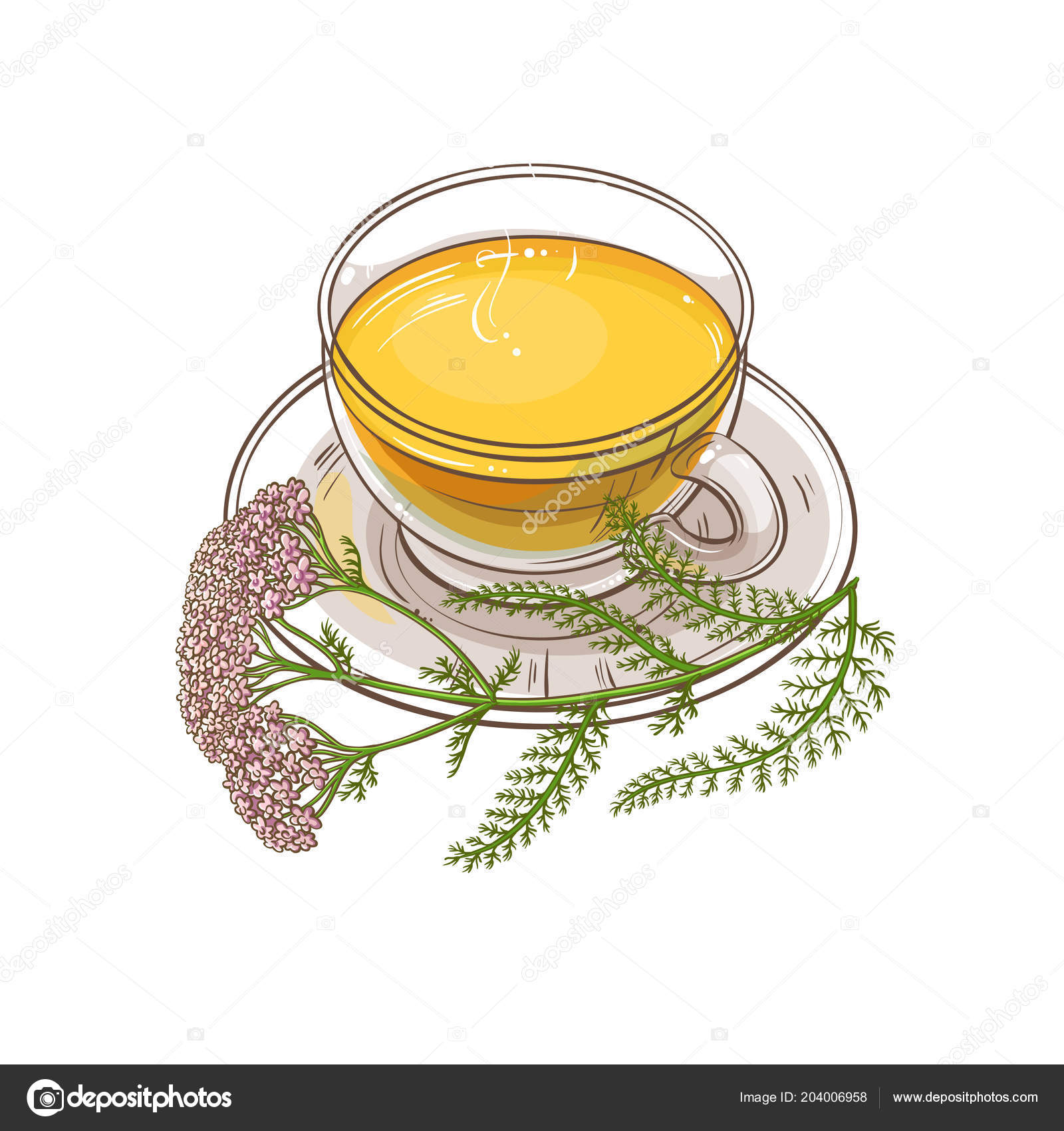 Cup Yarrow Tea Illustration White Background Stock Vector Image by ...