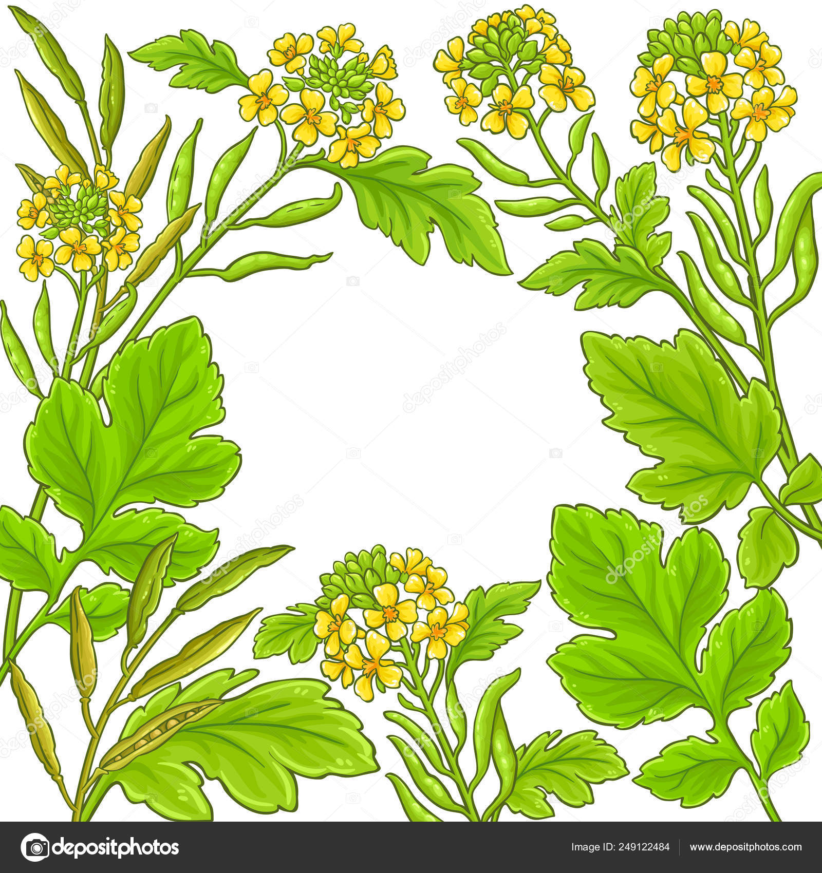Mustard vector frame Stock Vector Image by ©cuttlefish84 #249122484