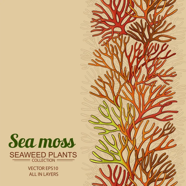 Sea moss Vector Images | DepositPhotos
