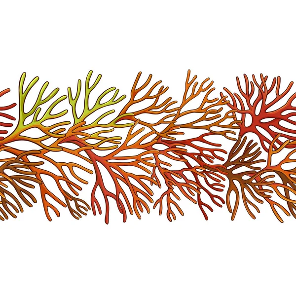 Sea moss Vector Images, Royalty-free Sea moss Vectors | Depositphotos®