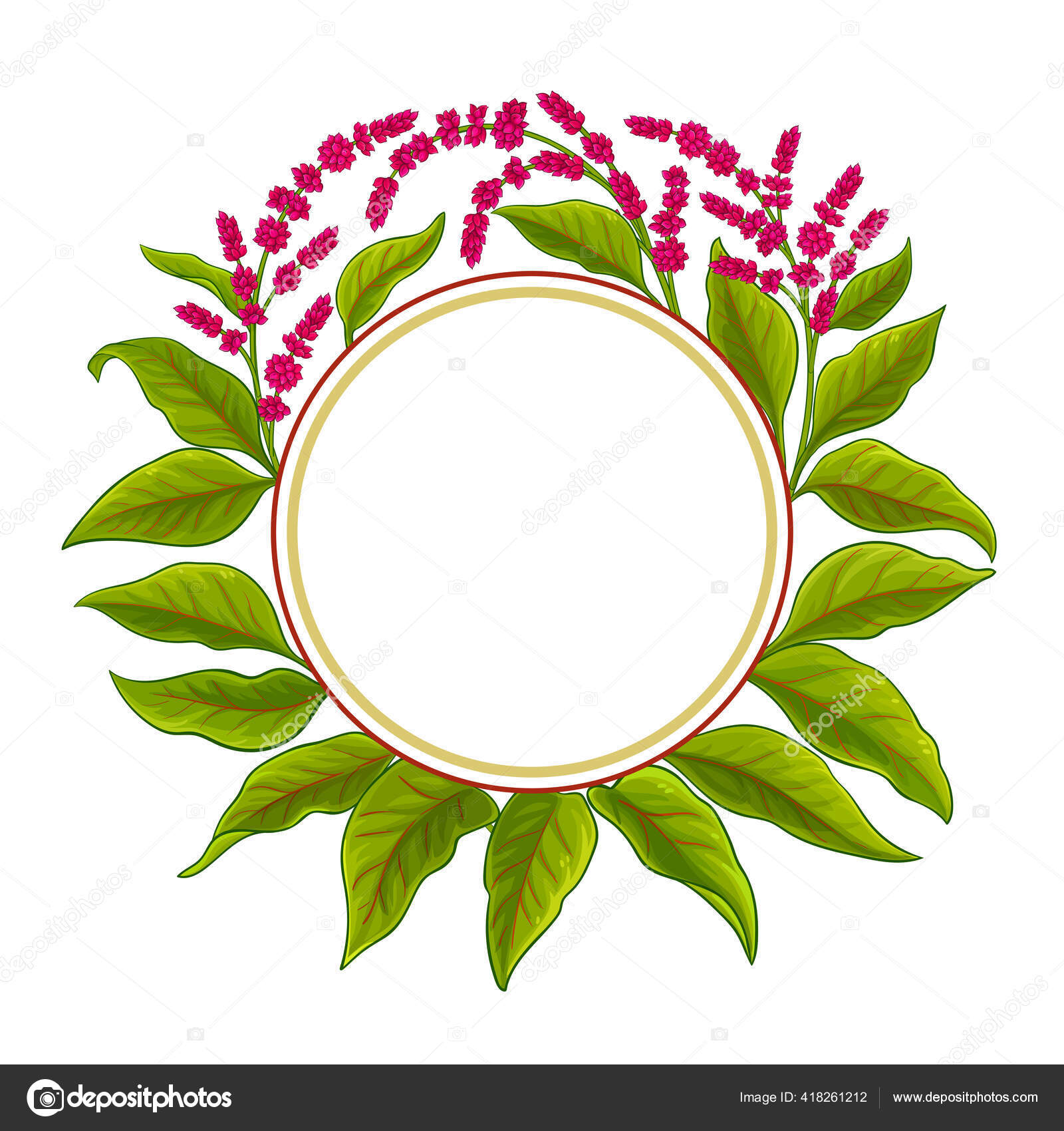 Marco de vector amaranto Vector de stock por ©cuttlefish84 418261212