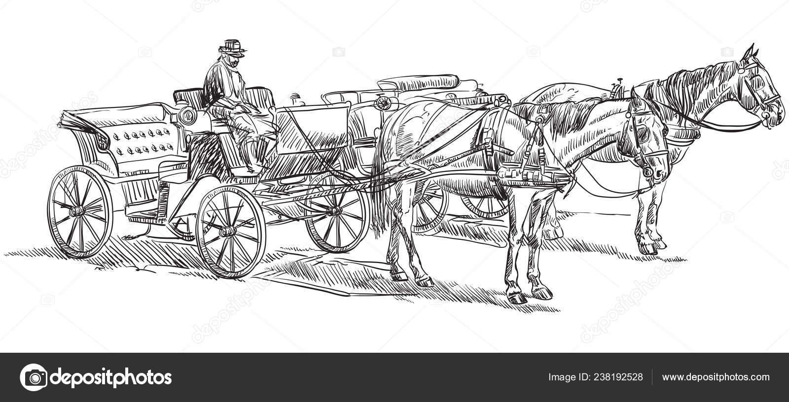 Vector Hand Drawing Illustration Horse Drawn Carriages Coachman ...
