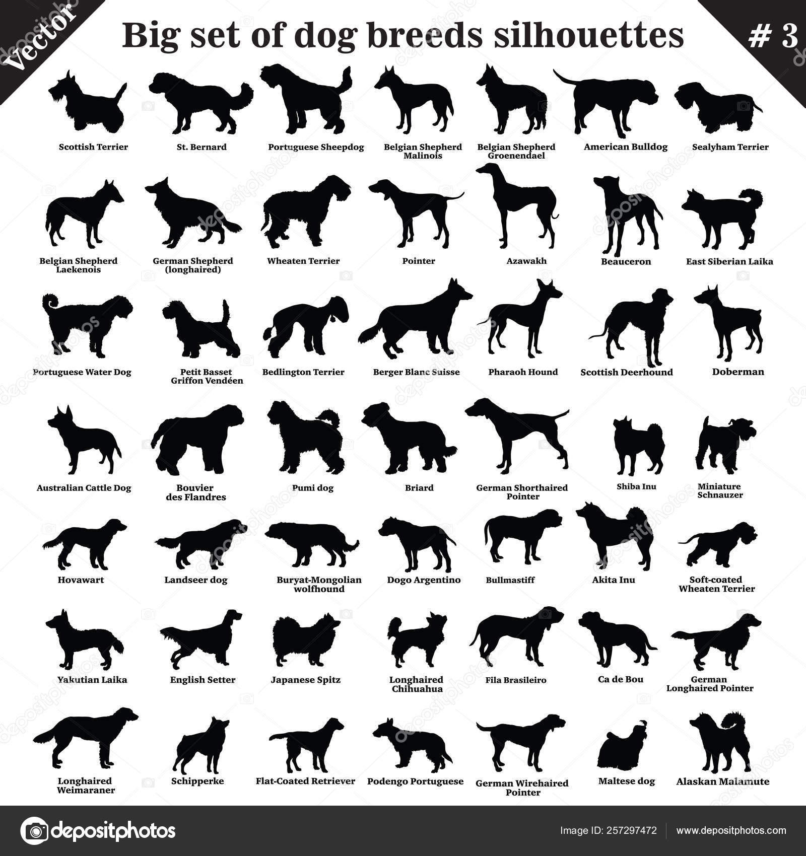 Vector dogs silhouettes 3 Stock Vector Image by ©Alinart #257297472