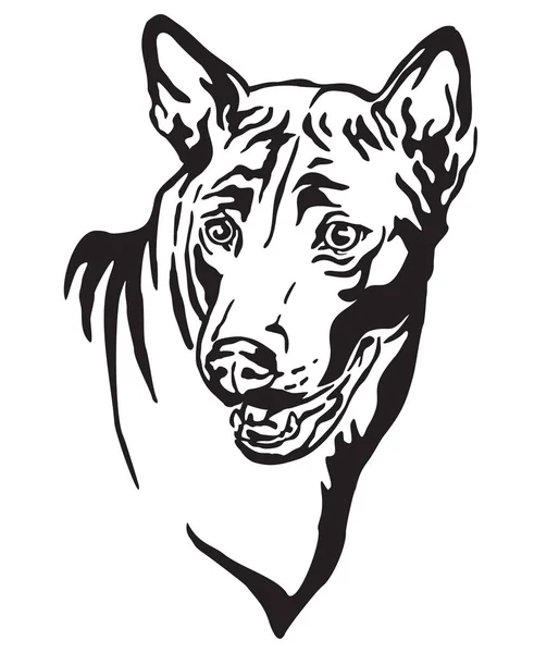 Thai ridgeback Stock Vectors, Royalty Free Thai ridgeback Illustrations ...