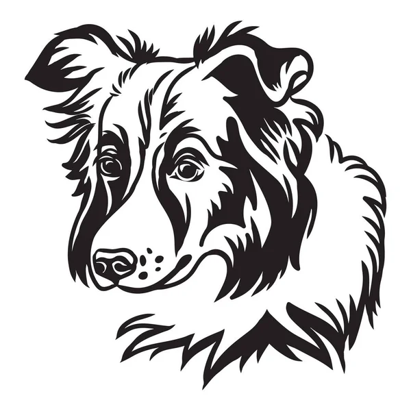Decorative Portrait Dog Shetland Sheepdog Sheltie Vector Isolated ...