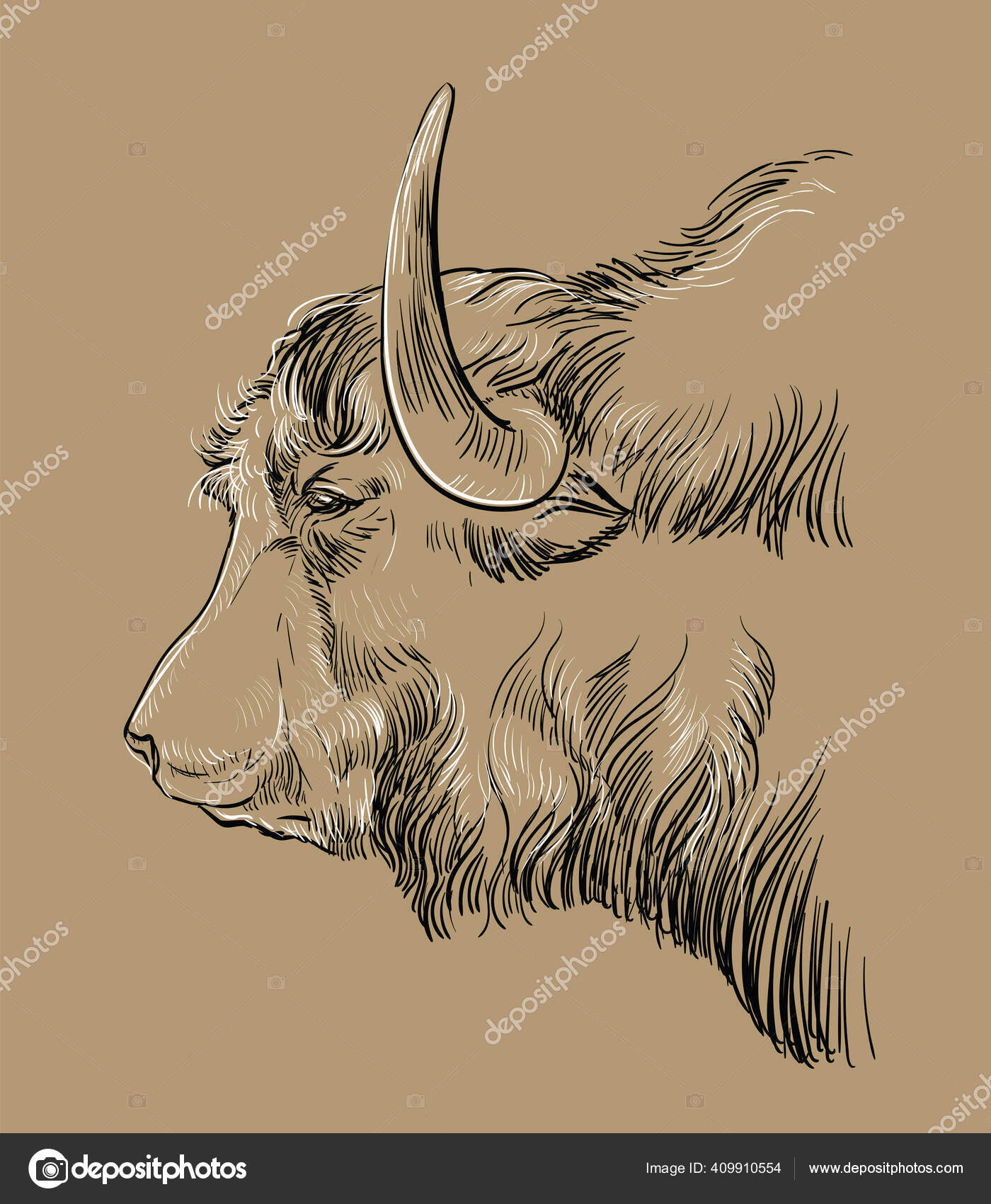 Head of yak hand drawing illustration brown Stock Vector Image by ...