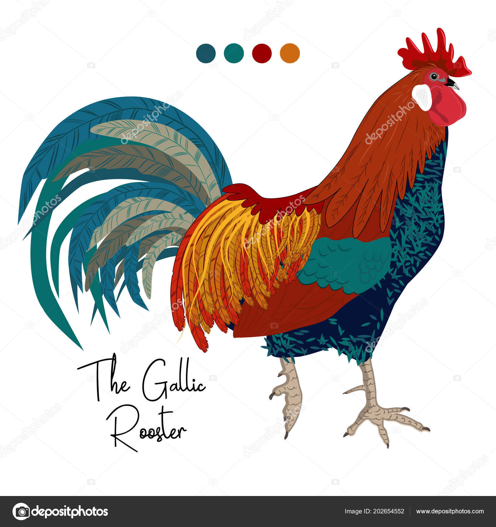 Gallic Rooster Drawing