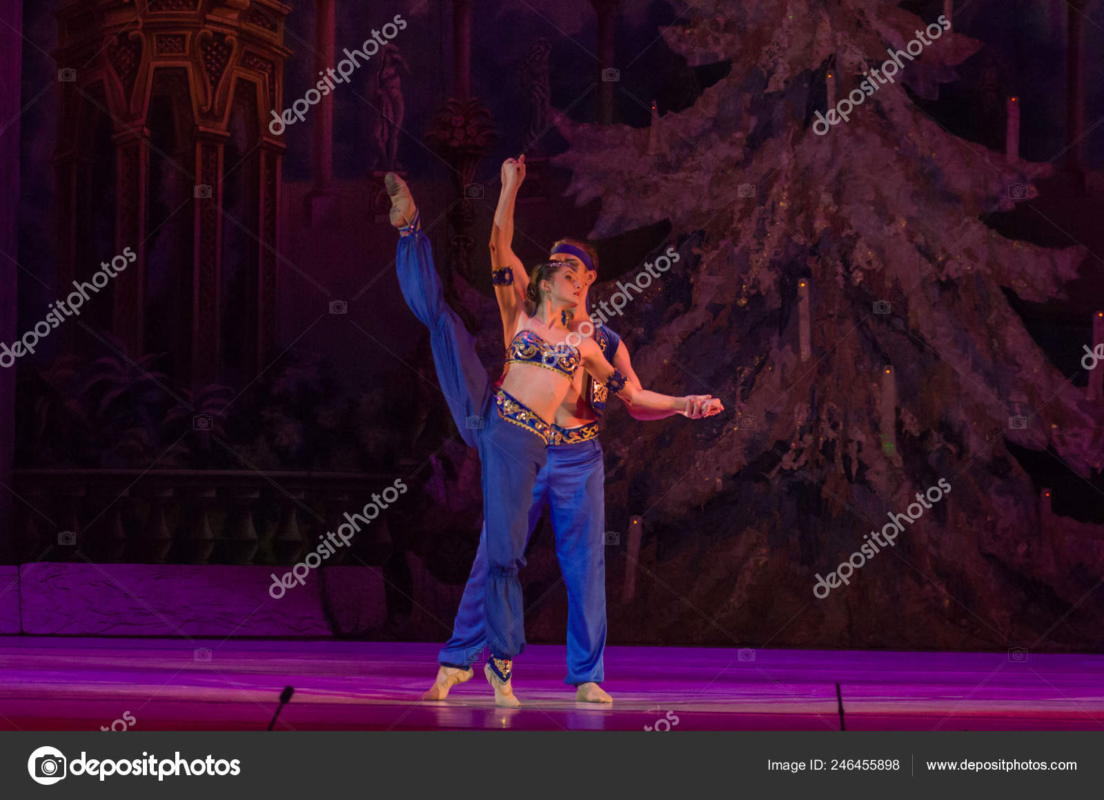 Dnipro Ukraine February 2019 Nutcracker Ballet Performed Members Dnipro ...