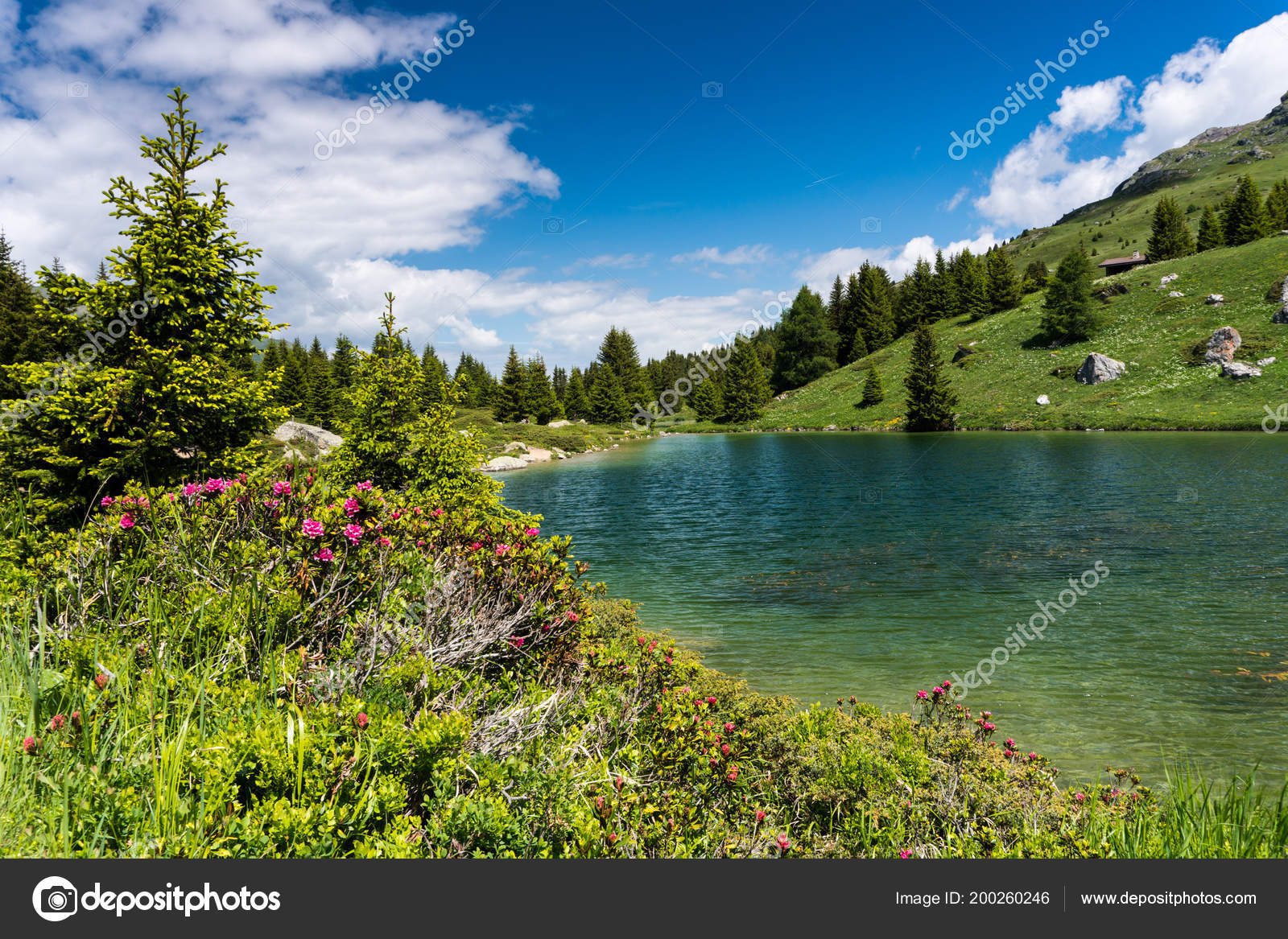 Idyllic Mountain Lake Landscape Swiss Alps — Stock Photo © makasanaphoto #200260246