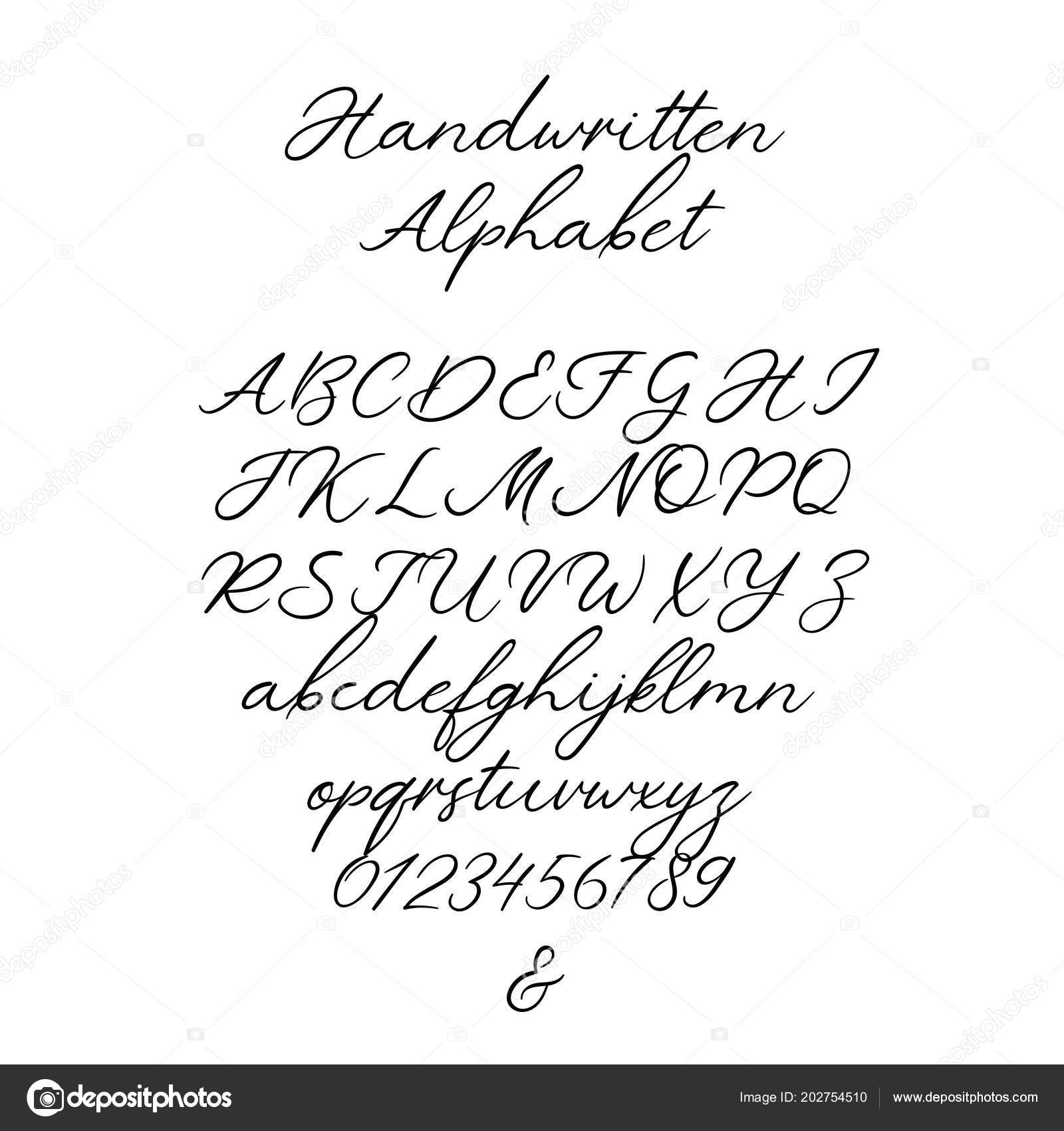 Vector Calligraphy Alphabet Exclusive Letters Decorative Handwritten