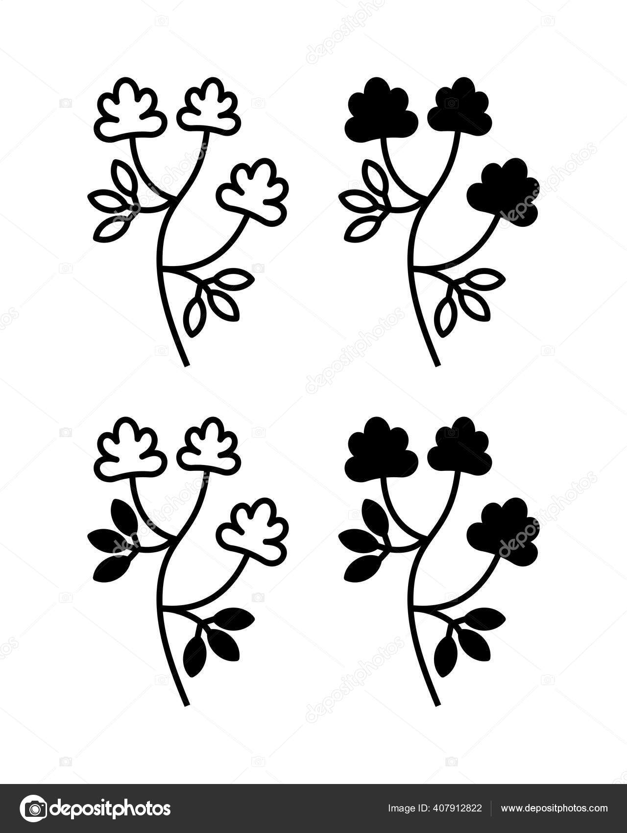 Alfalfa Medicago Sativa Lucerne Vector Illustration Alfalfa Plant ...