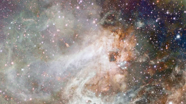 Tarantula bulutsusu Stock Photos, Royalty Free Tarantula bulutsusu ...