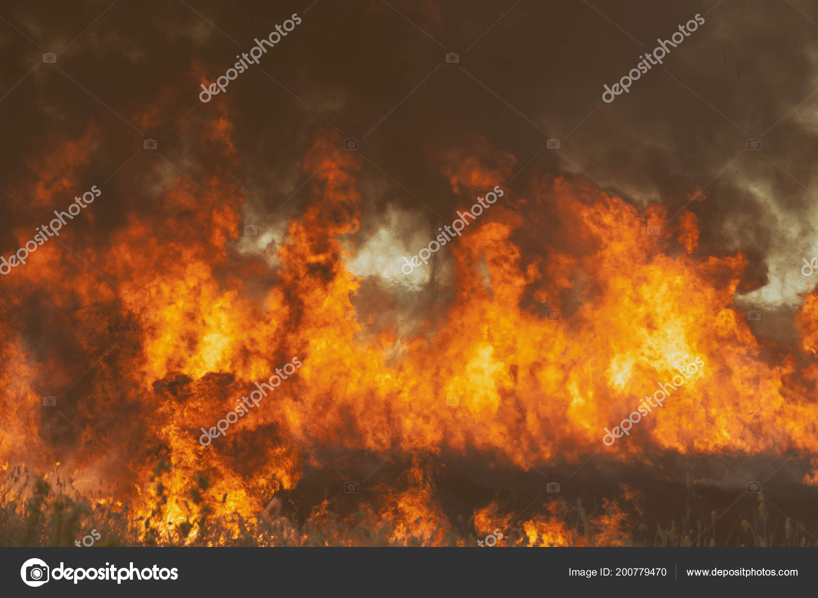 Raging Flame Fire Burn Fields Forests Black Thick Acrid Smoke Stock ...