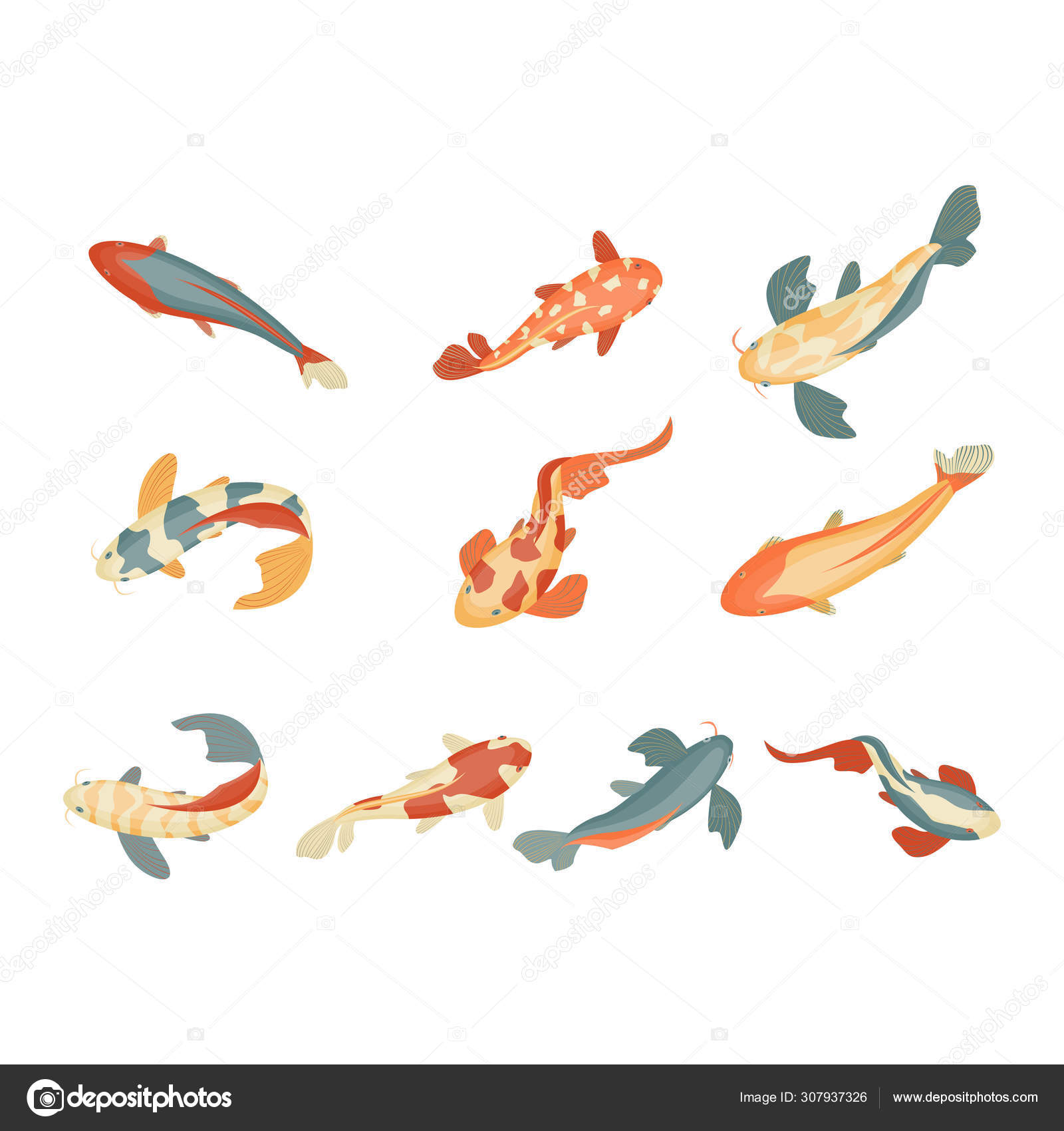 Color Koi Fish Icon Set on a White Background. Vector Stock Vector ...