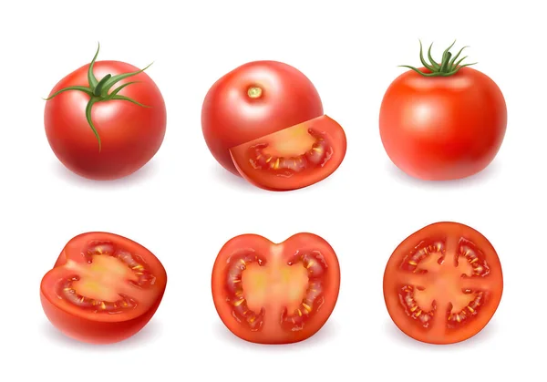 Desenho fases tomate Vector Images | Depositphotos
