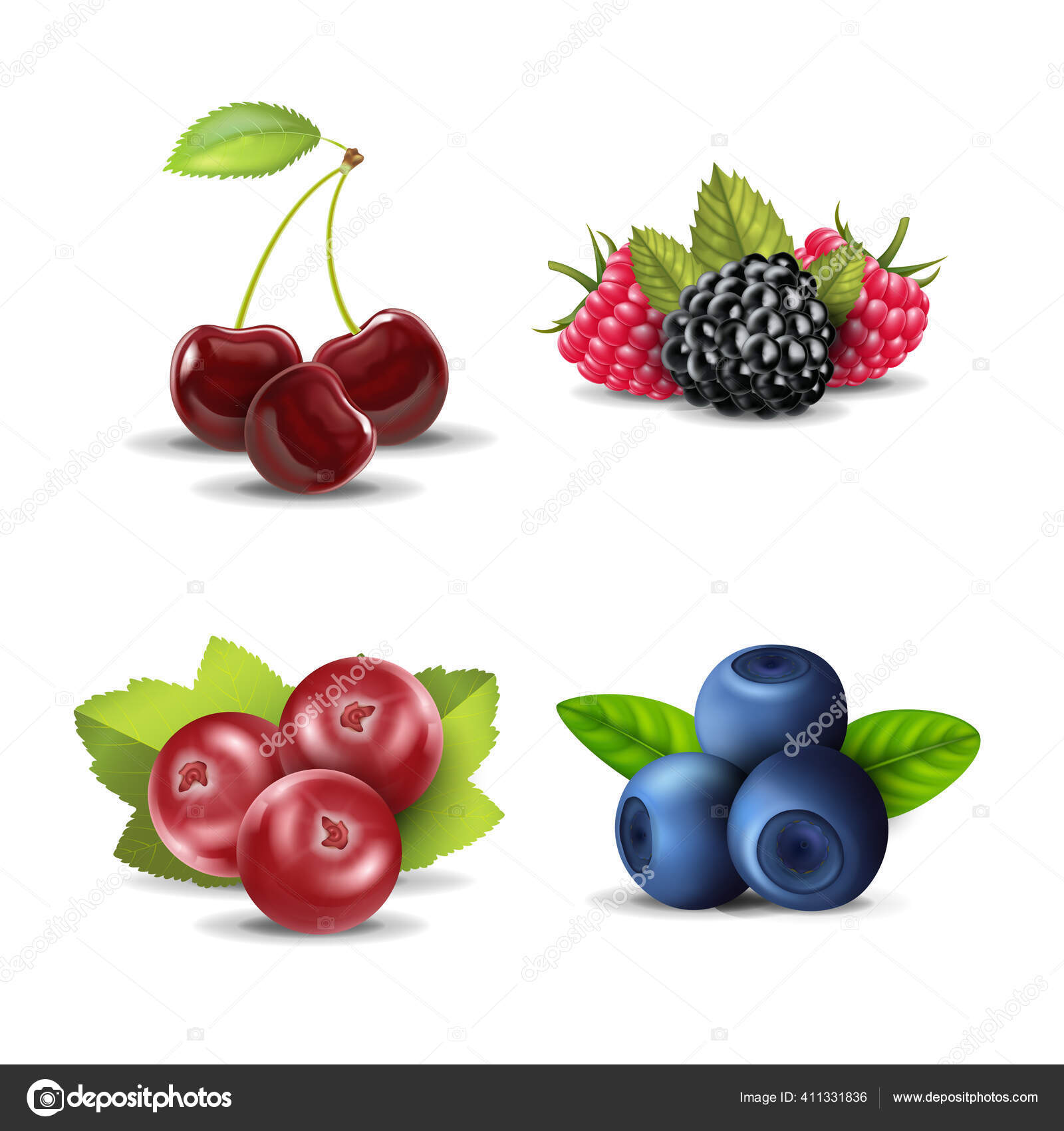 Realistic Detailed 3d Raw Berries Set. Vector Stock Vector by ©bigmouse ...