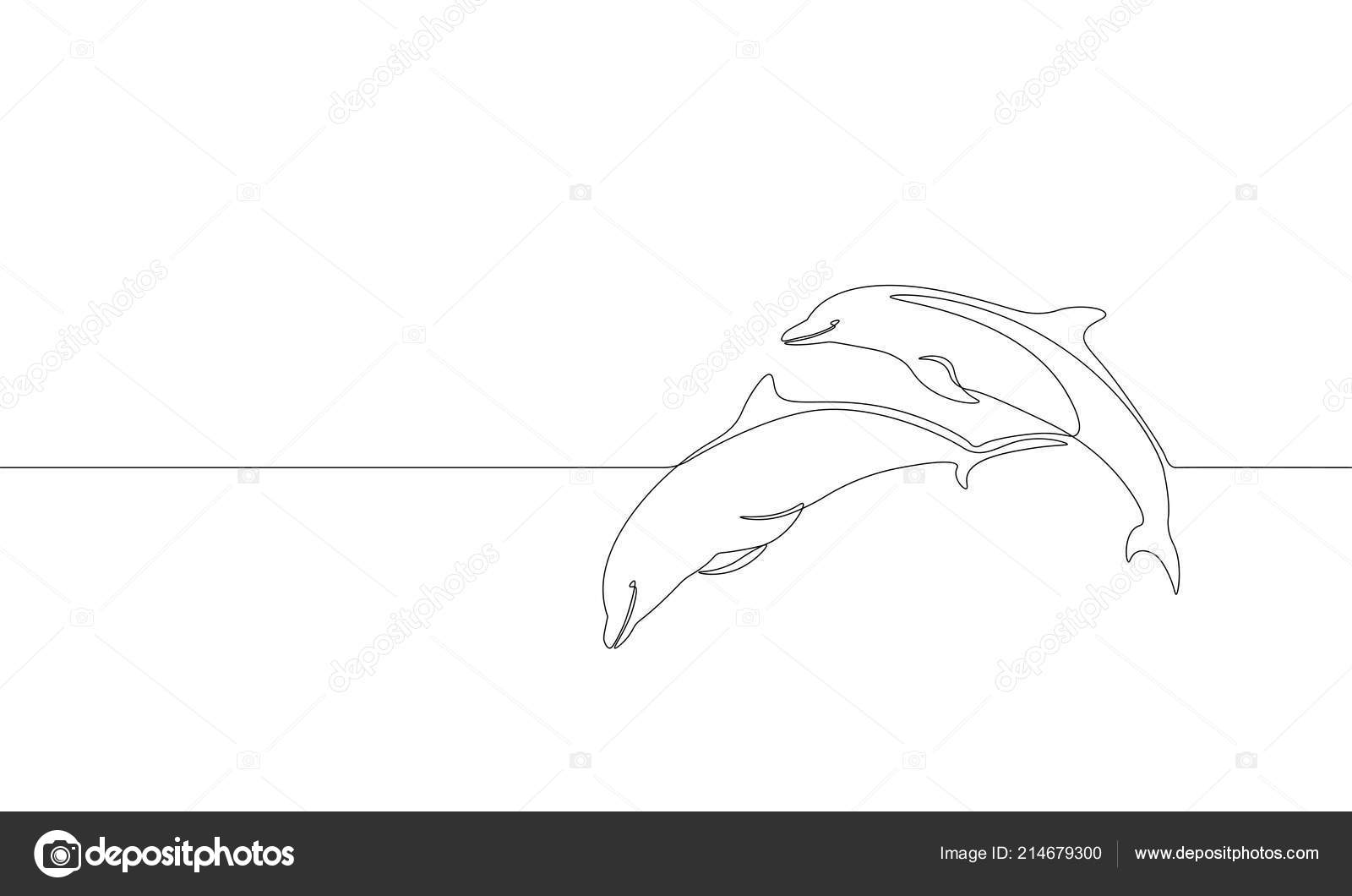 Dolphin Swimming Sketch