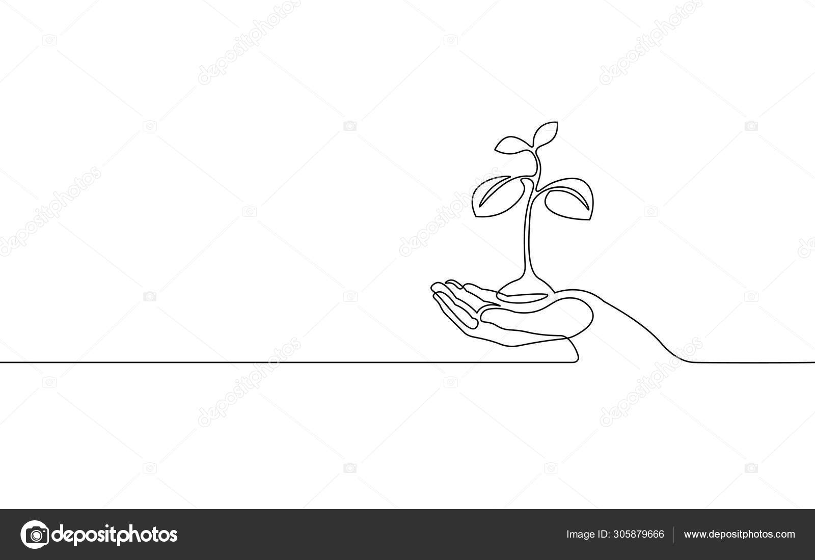 Growing Seed Drawing