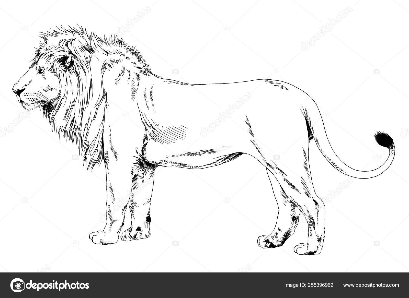 Predator Language Tattoo