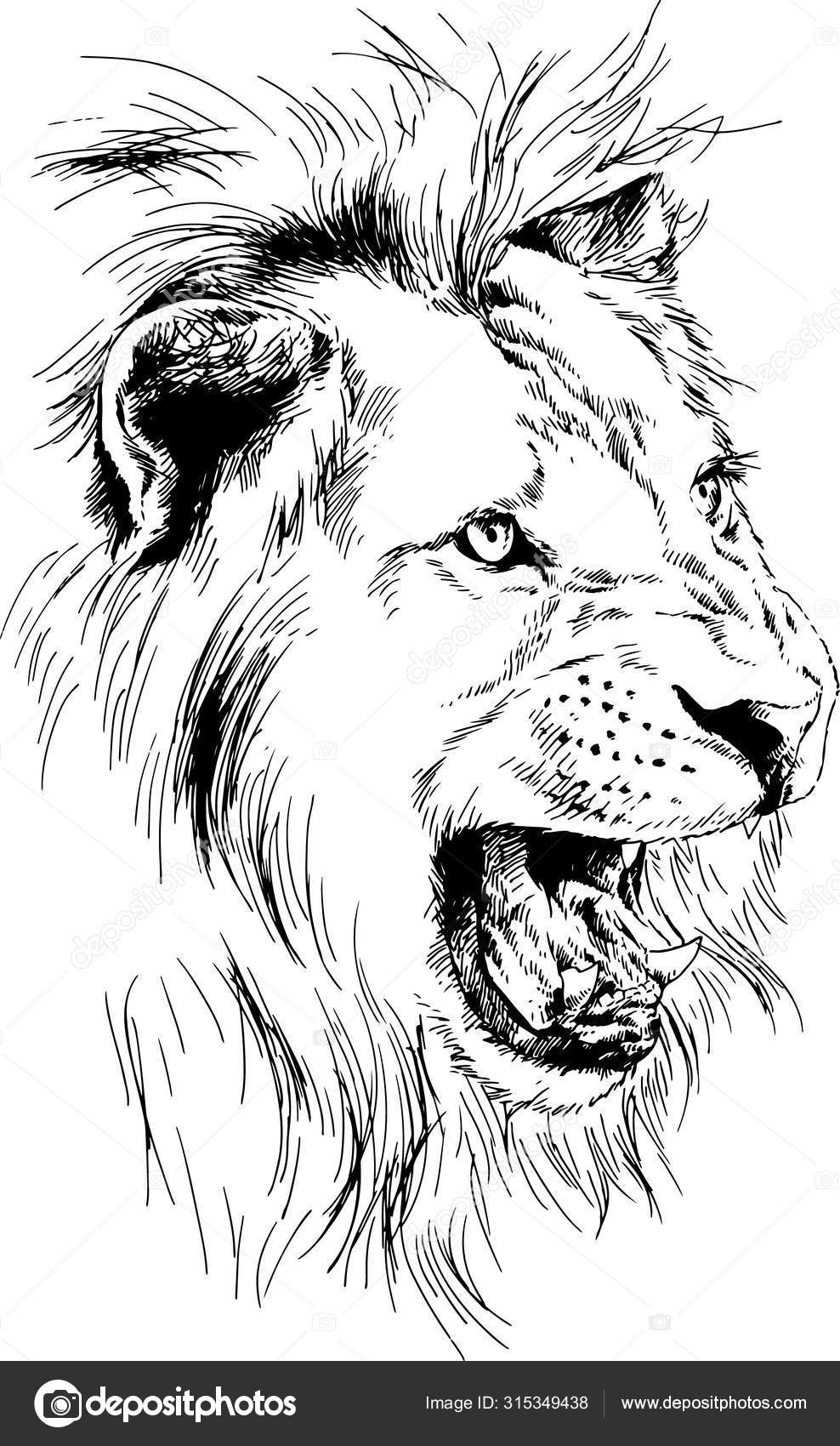 Disegno Del Tatuaggio Del Leone Ruggente