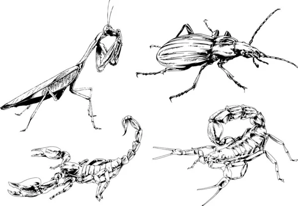 100,000 Children drawing insects Vector Images | Depositphotos