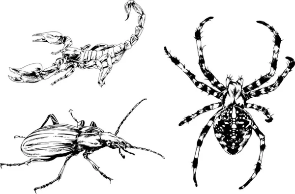 Species spread fotos de stock, imágenes de Species spread sin royalties ...