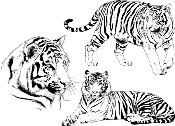 Panther cartoon illustration coloring book Vektor Stok, Ilustrasi ...