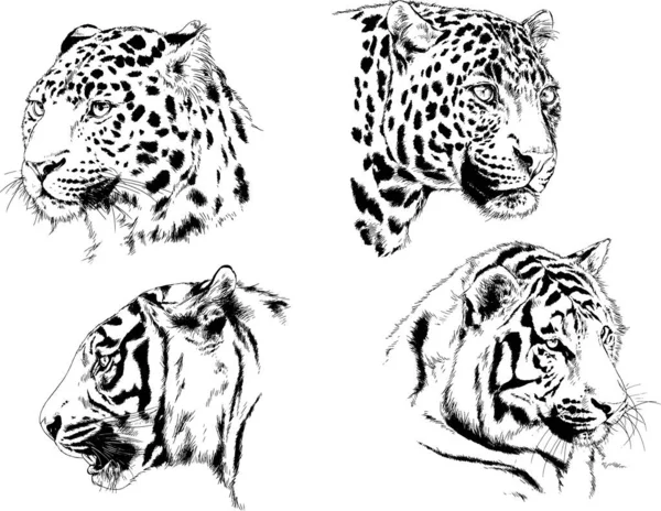 만차 스 Vektor Stok, Ilustrasi 만차 스 Bebas Royalti | Depositphotos