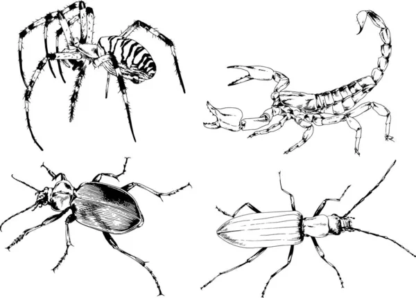 Invertebrados imágenes de stock de arte vectorial | Depositphotos