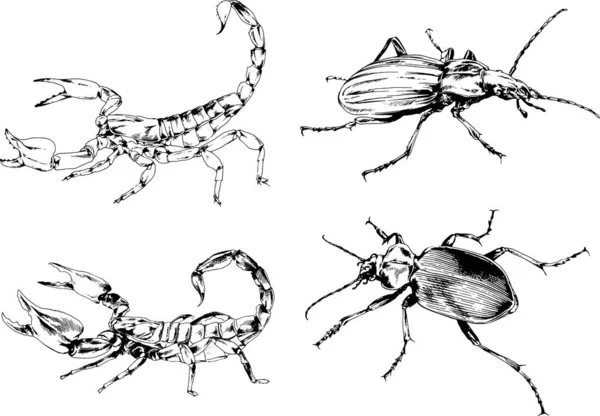 Insectos parasitários imágenes de stock de arte vectorial | Depositphotos
