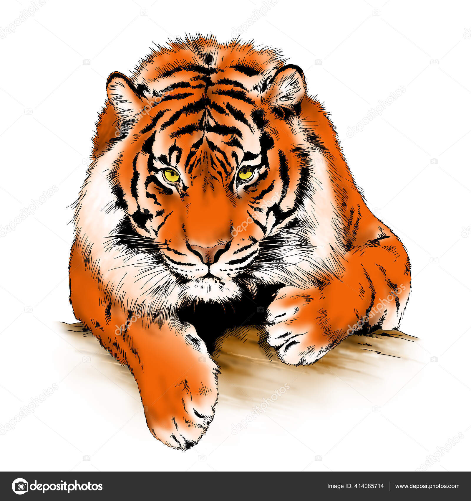 Tiger Drawn Ink Hands Predator Tattoo Logo — Stock Photo © evgo1977 ...