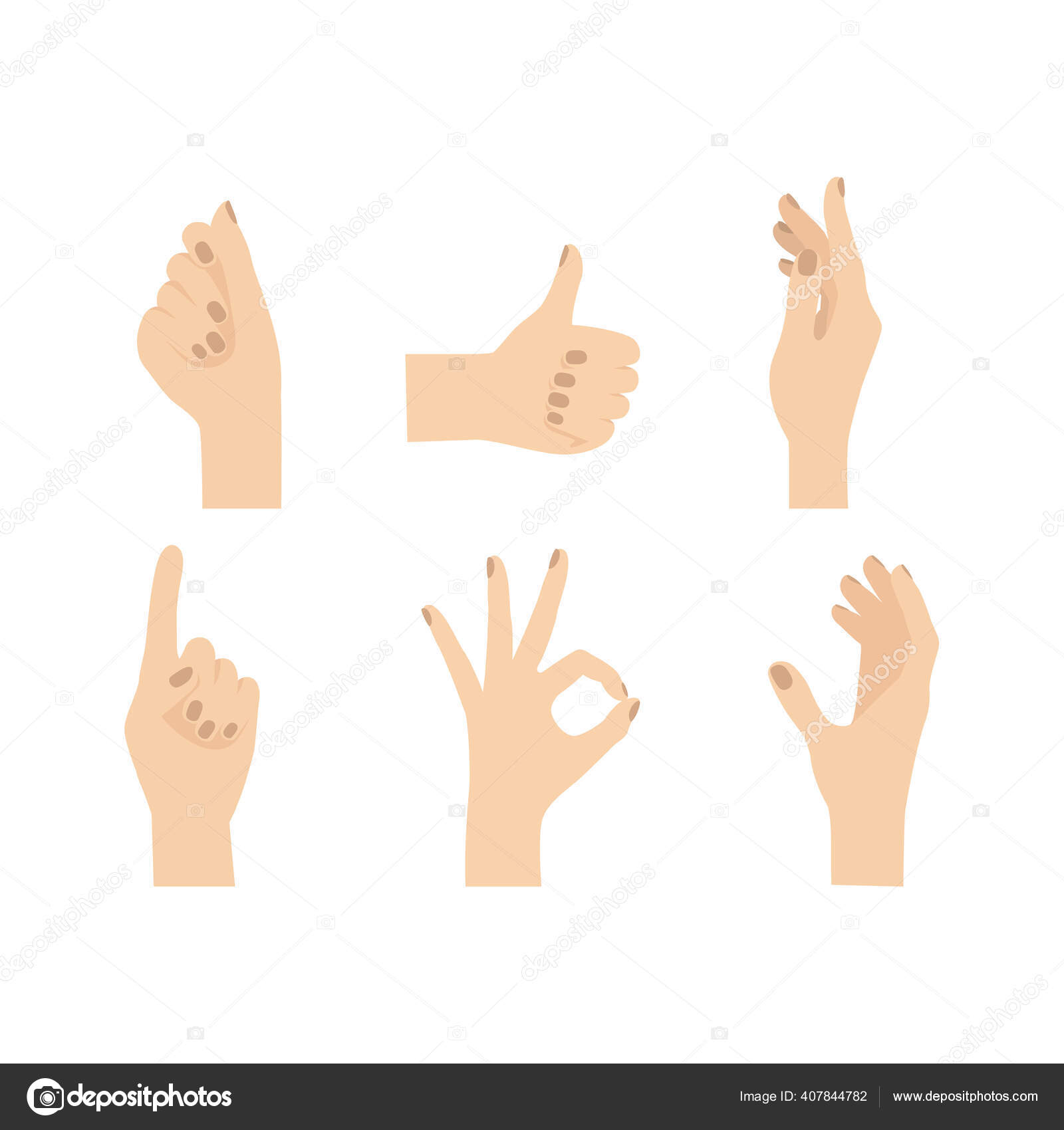 Woman hands. Hand gestures. Flat hand poses. Vector Stock Vector Image ...