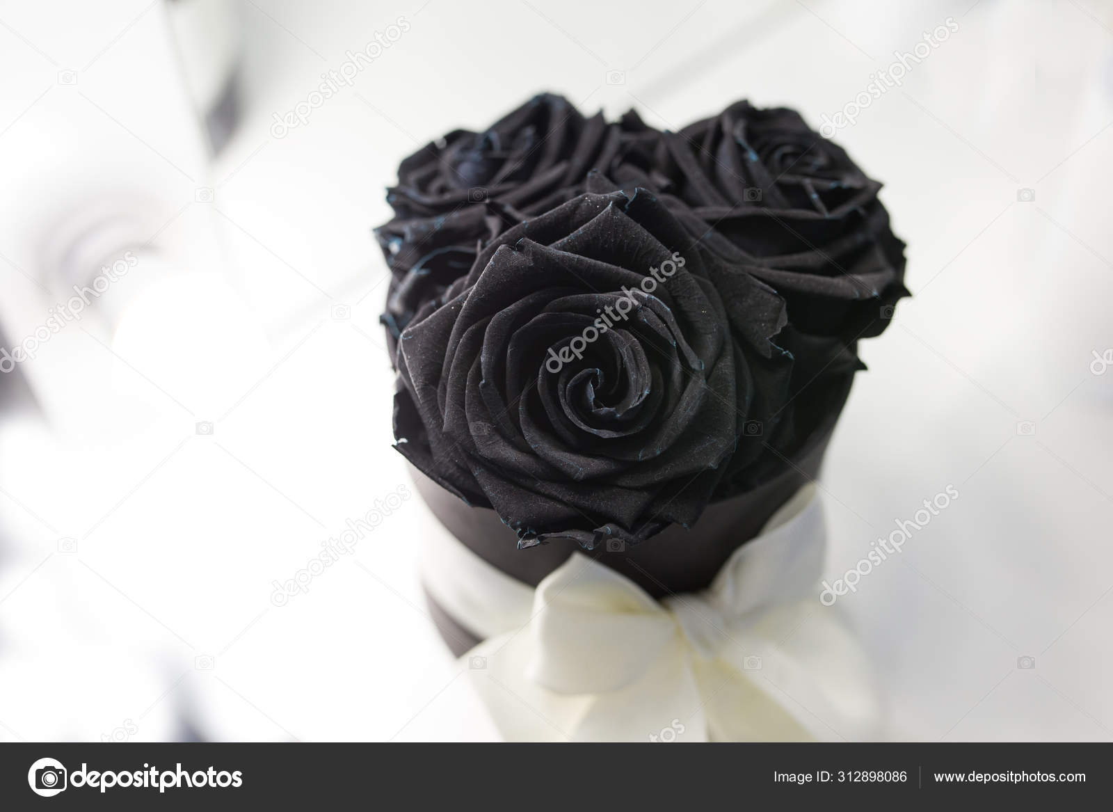 Black roses in a box with a white bow on a white background Stock Photo ...