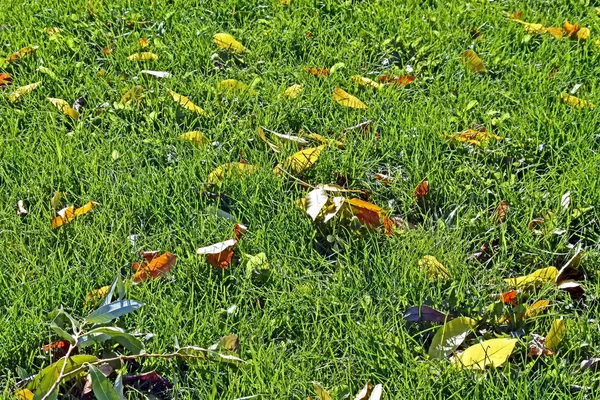 Grounding background Stock Photos, Royalty Free Grounding background ...