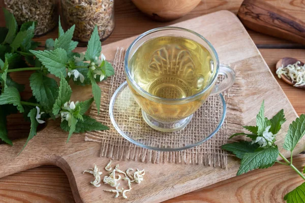 Como preparar el té de ortiga images libres de droit, photos de Como ...