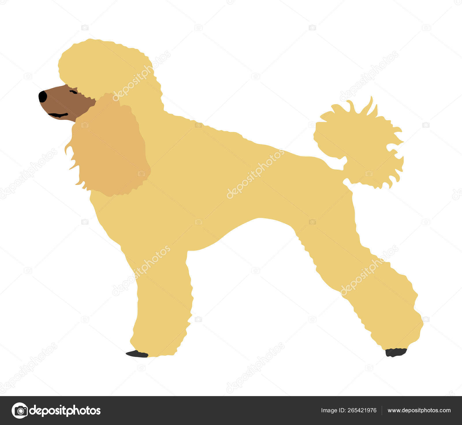 Standaard Poedel Silhouet Top Model Federmäppchen Mit Ausstattung,